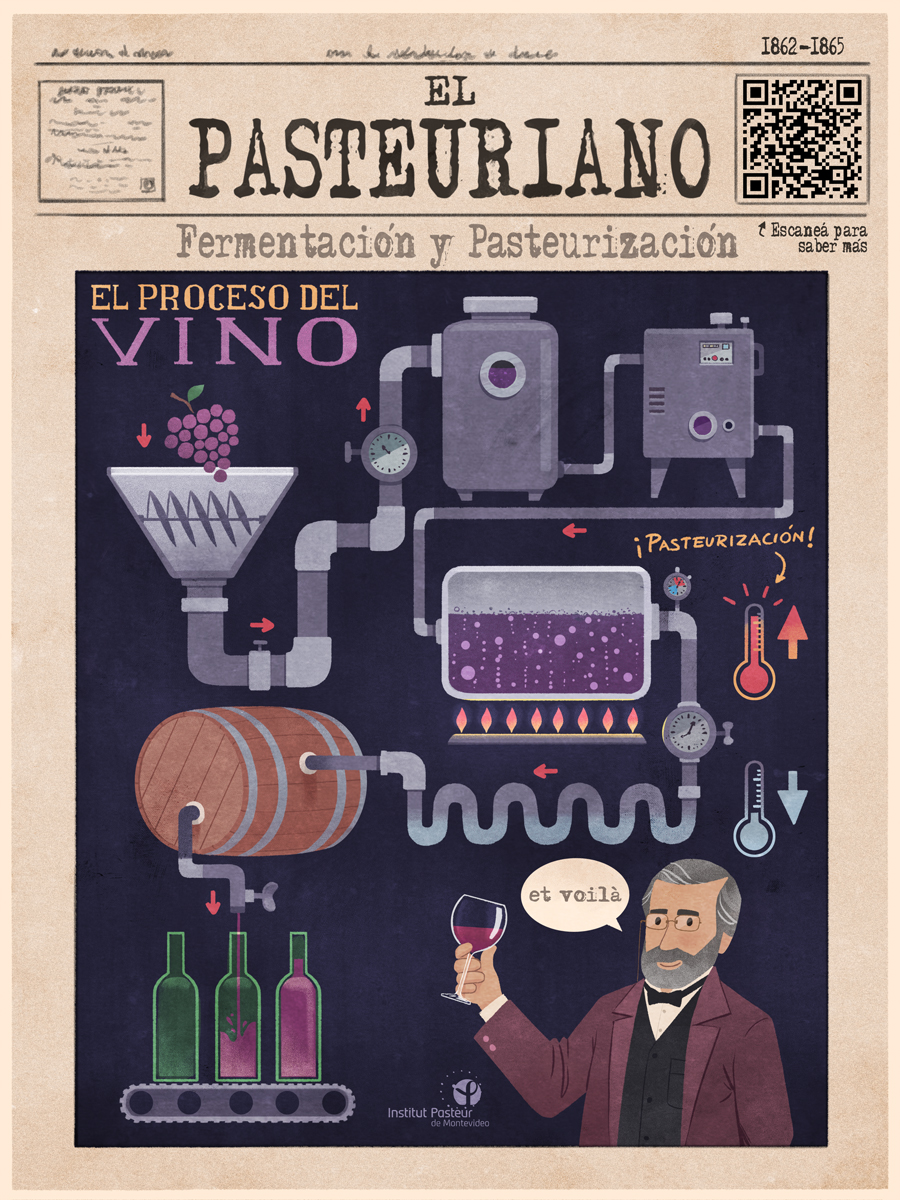 Fermentación y pasteurización :: "El Pasteuriano" - 200 Aniversario de ...